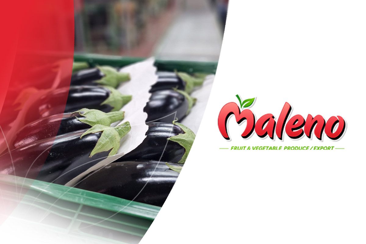 Productos: Barenjena - Maleno y Torres Exportación S.L.